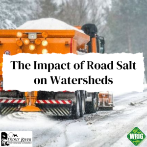 Road Salt and its impact on the environment – Trout River Environmental ...