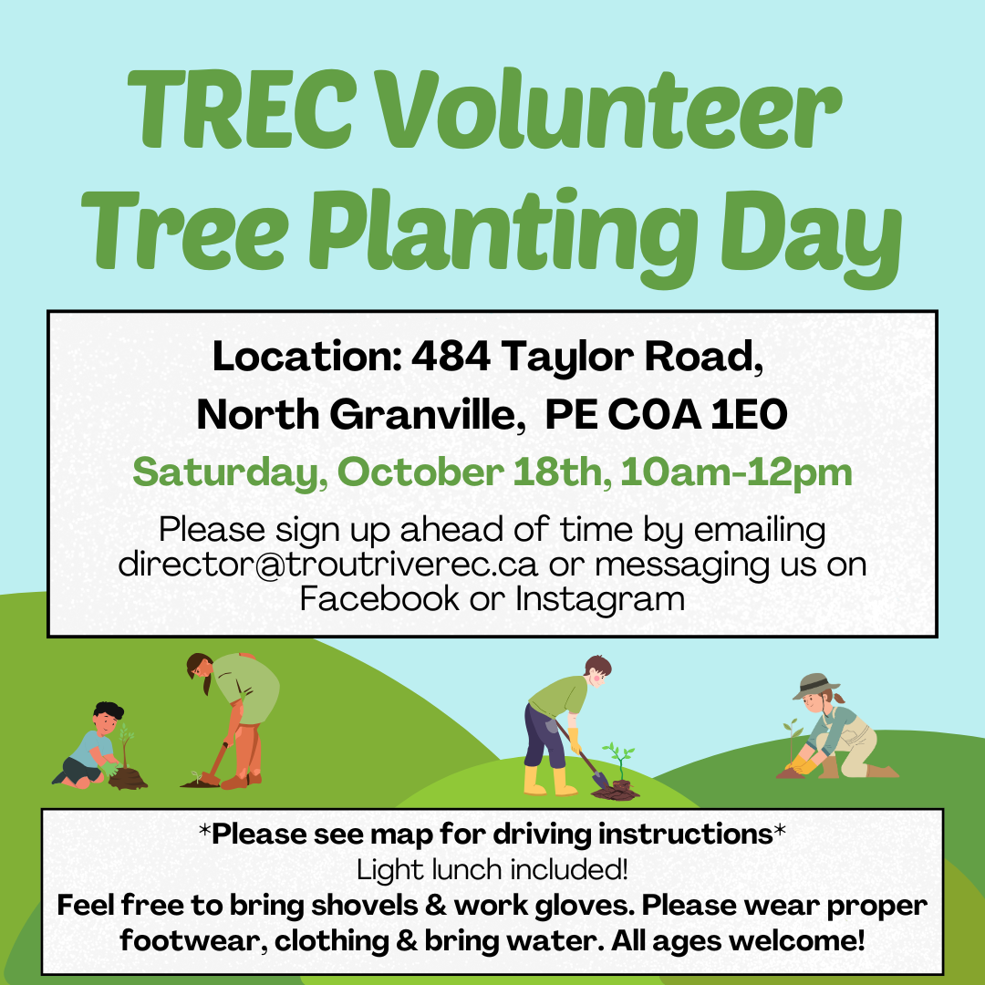 Volunteer Fall Tree Planting Day – Trout River Environmental Committee
